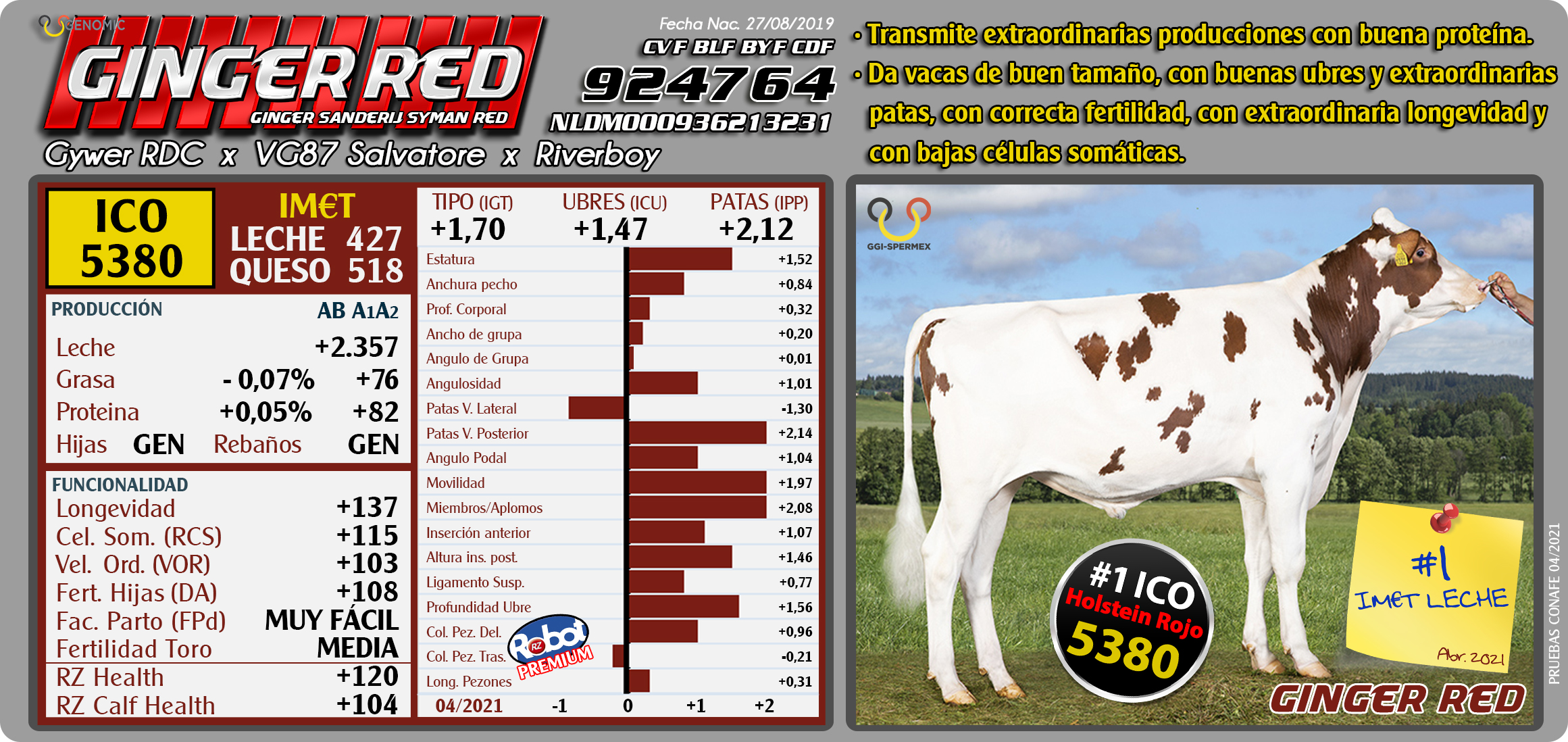 BAS SL· Semen Holstein, Genética, Toros Alemanes · GGI-SPERMEX