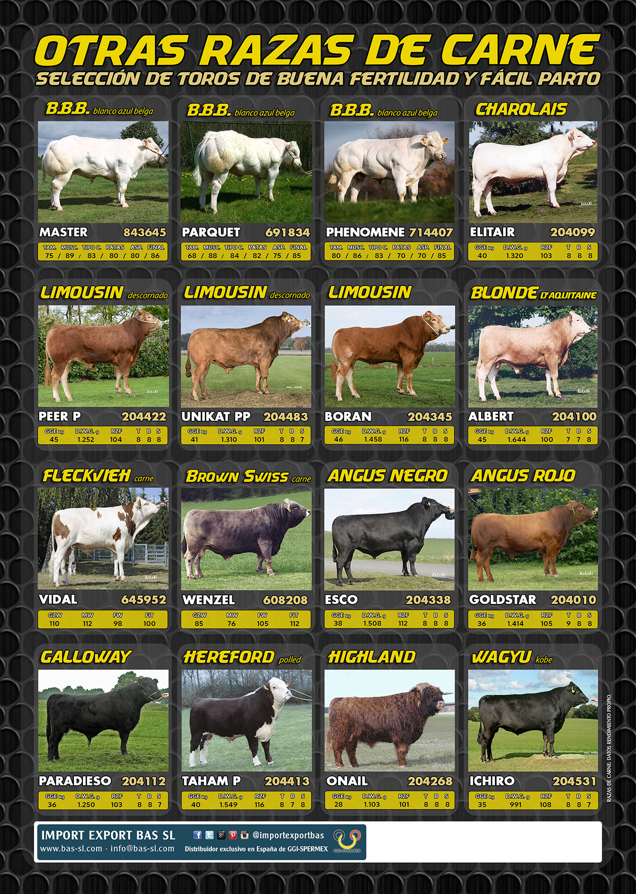 BAS SL· Semen Holstein, Genética, Toros Alemanes · GGI-SPERMEX