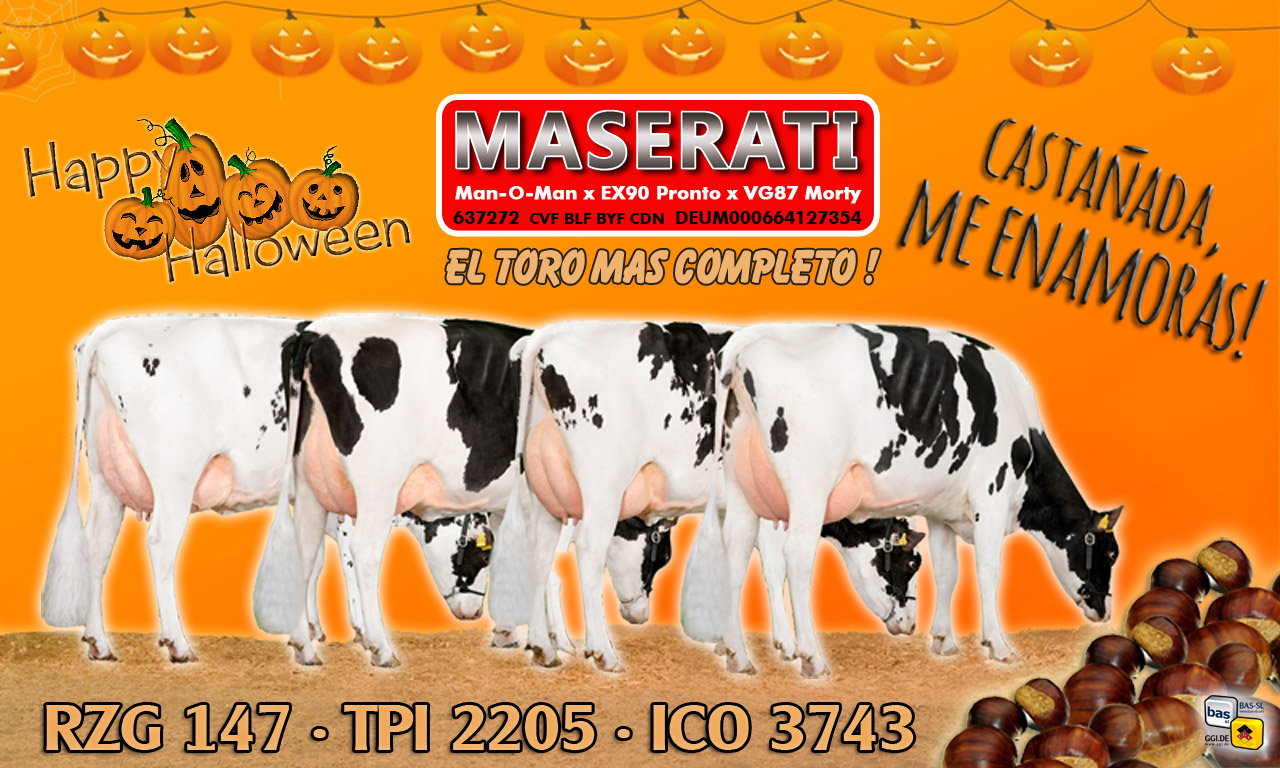 MASERATI felicita la Castañada y Halloween 2015